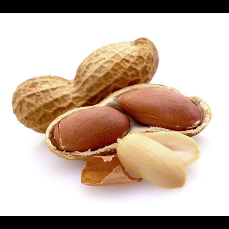 Pâte pure CACAHUETE